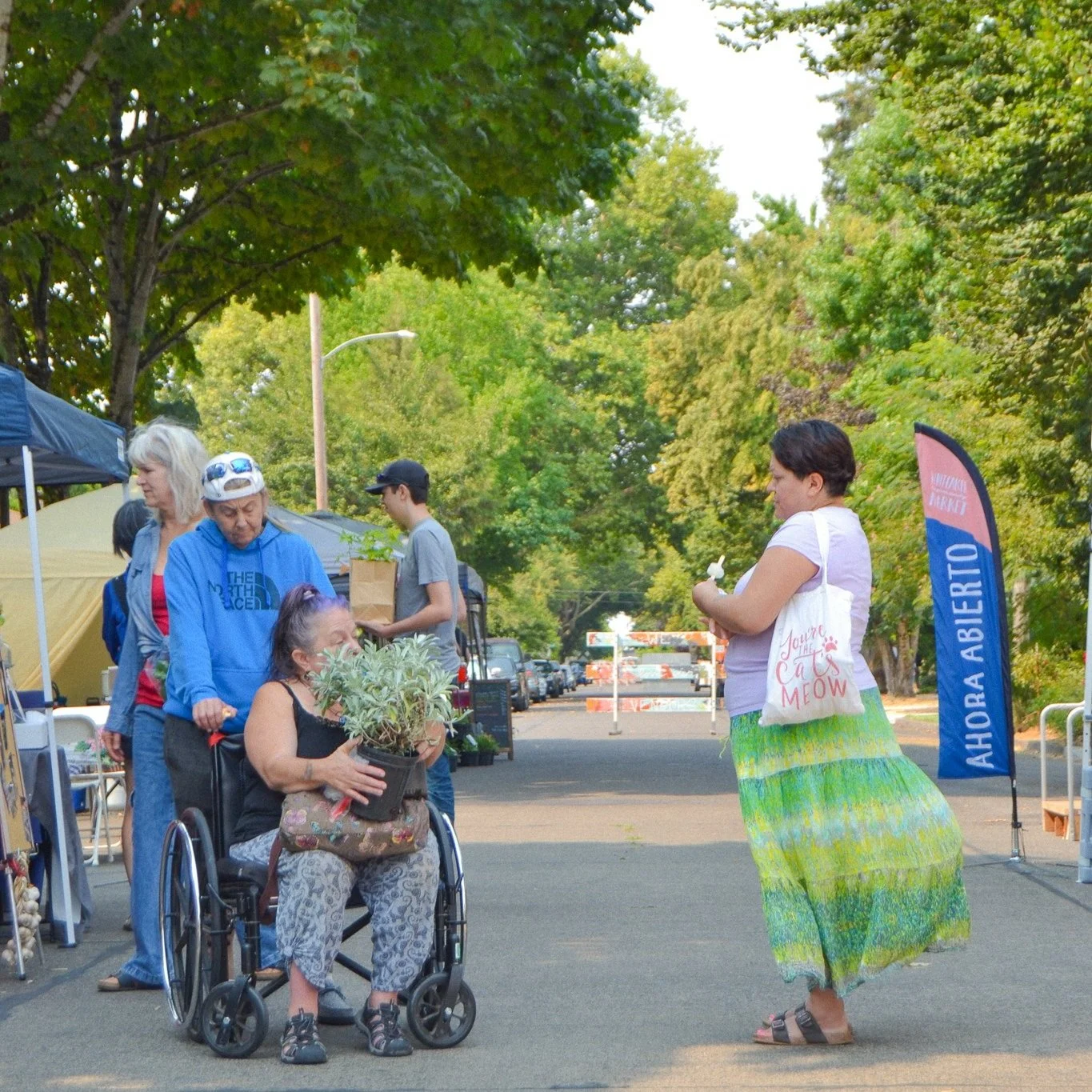 Whiteaker Community Council