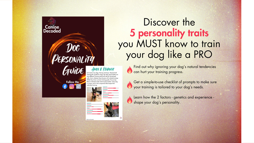 Dog Training and Behavior Modification | Canine Decoded