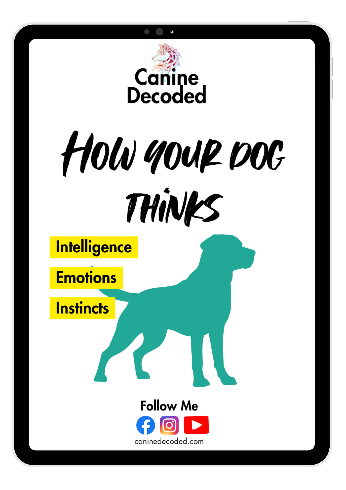 Canine Decoded