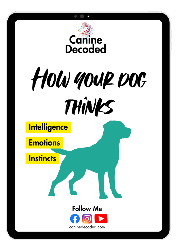 Canine Decoded