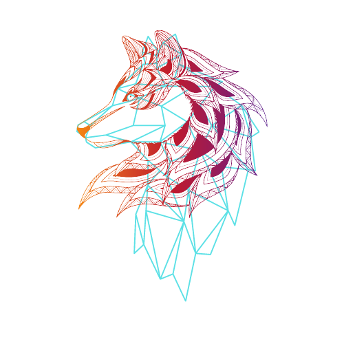 Dog Training and Behavior Modification | Canine Decoded