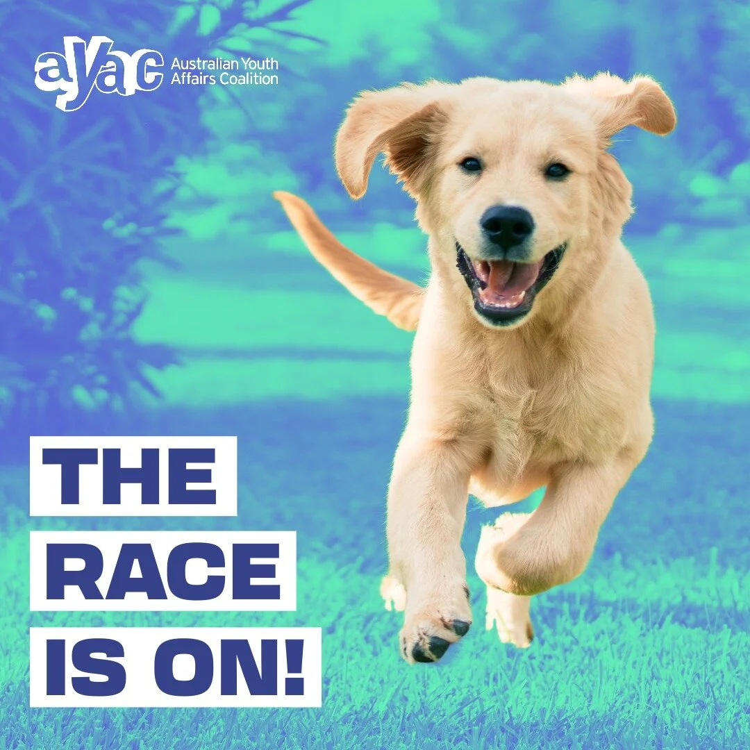 Australian Youth Affairs Coalition
