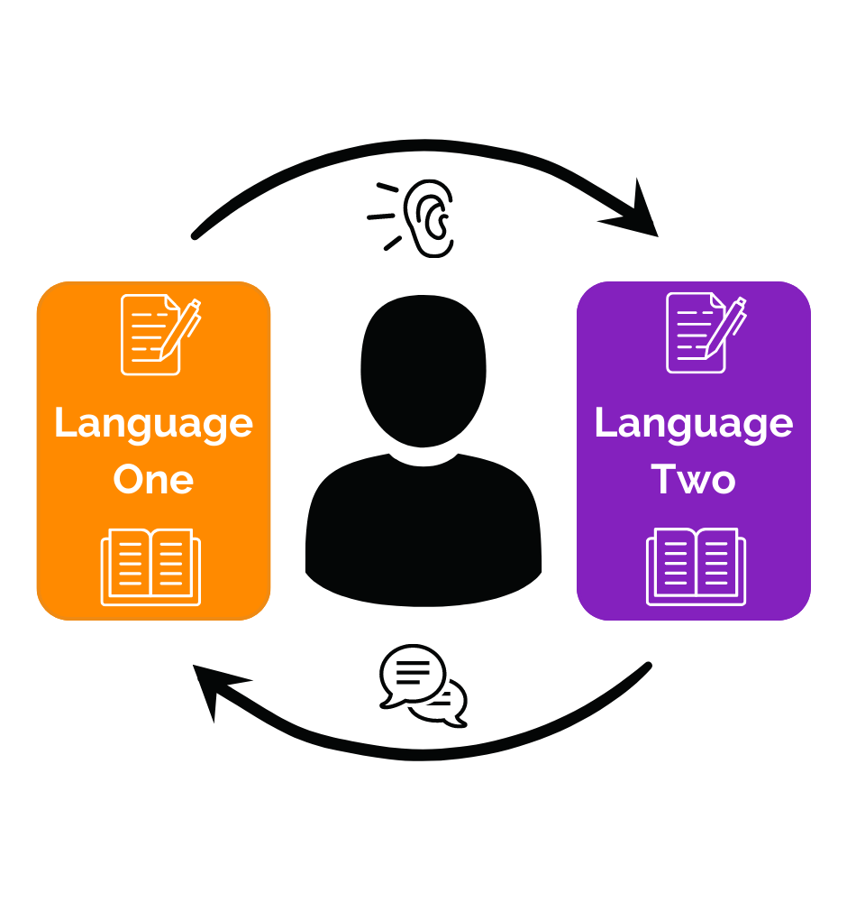 What is Biliteracy? — TXReads