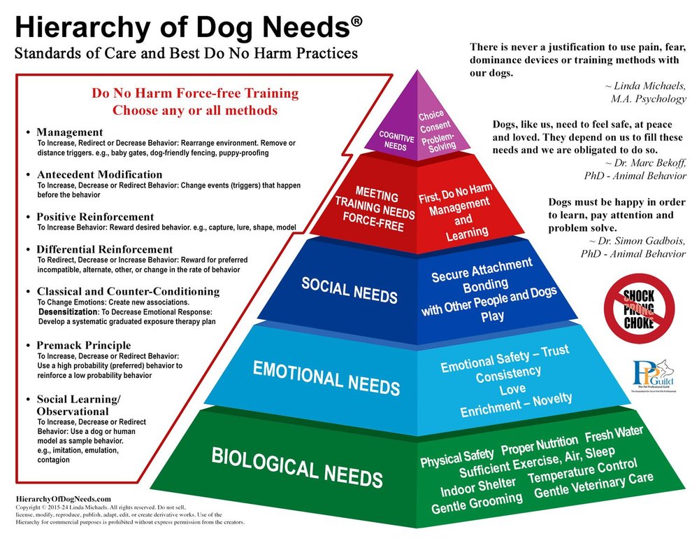 The Hierarchy of Dog Needs — Do No Harm Dog Training