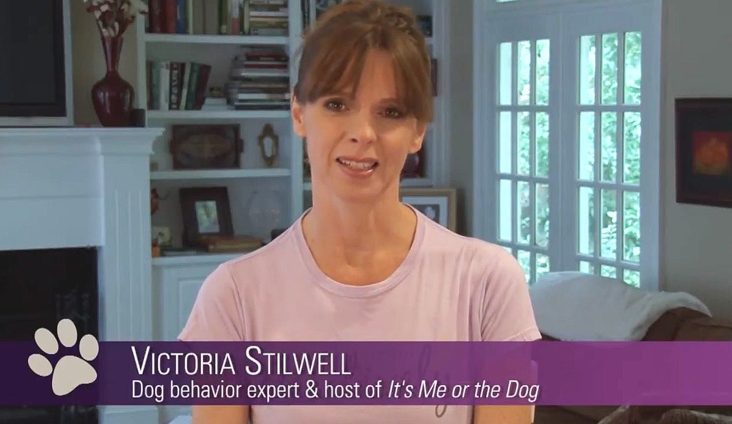 Linda Michaels Speaking — Do No Harm Dog Training