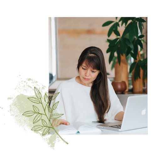Koseki Translation | Japanese Family Register - Kokoro Communications ...