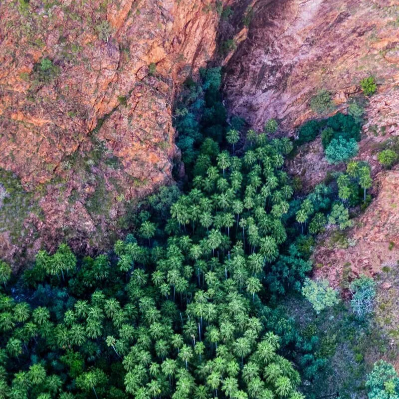 General 1 — Kimberley Pharmacy Services