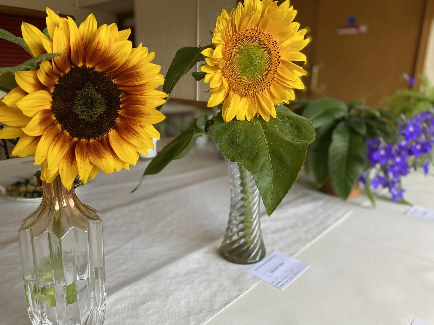 Blog | Discover & Engage Today — Pett Village Hall
