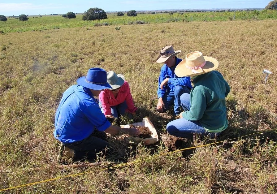 Soil health restoration — Reinventing Agriculture