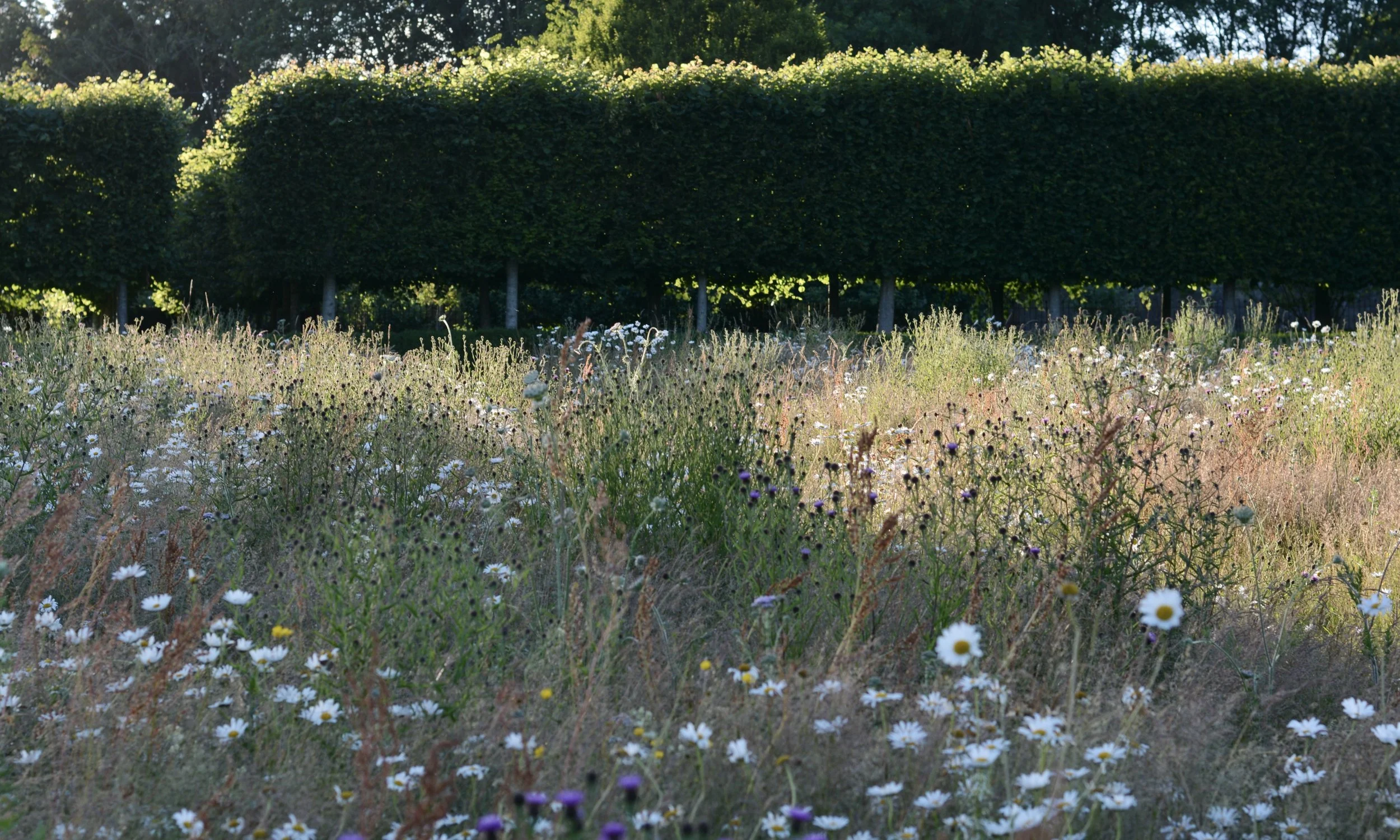winchester — rich landscapes