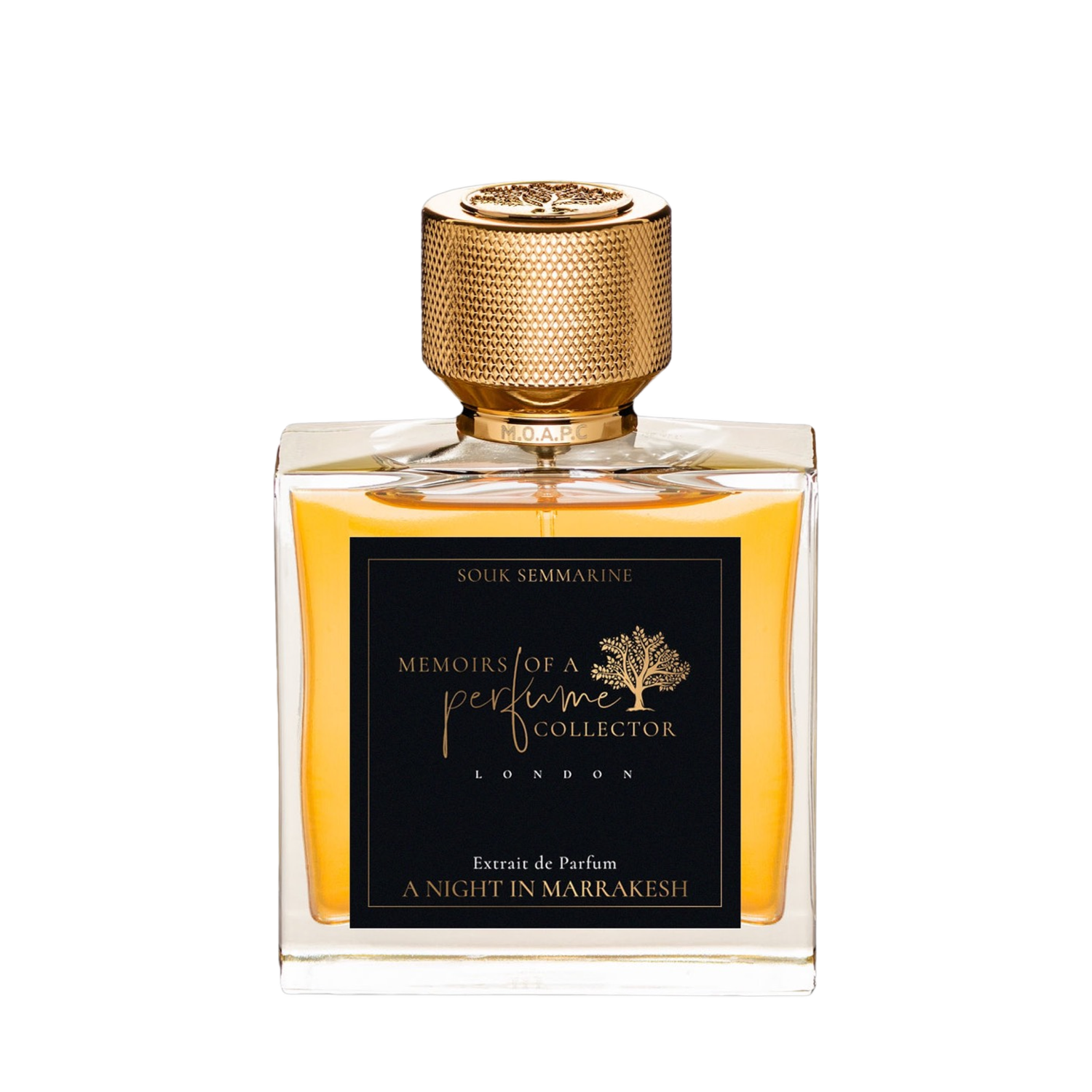 Our Perfumes — M.O.A.P.C