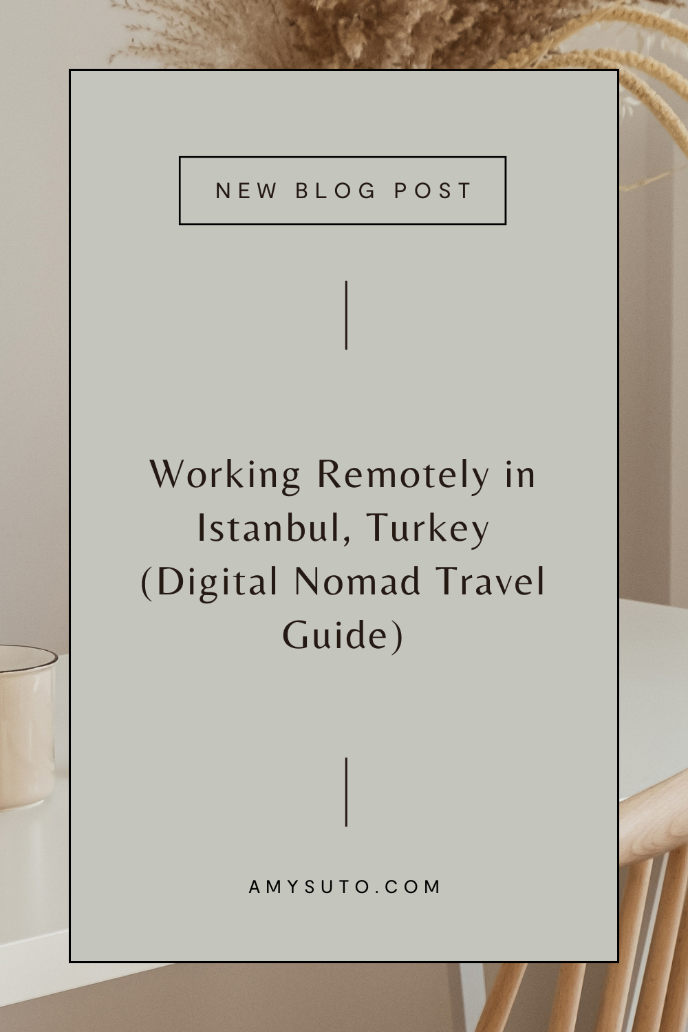Working Remotely in Istanbul, Turkey (Digital Nomad Travel Guide)