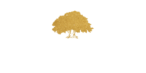 Stoneacre Hospitality