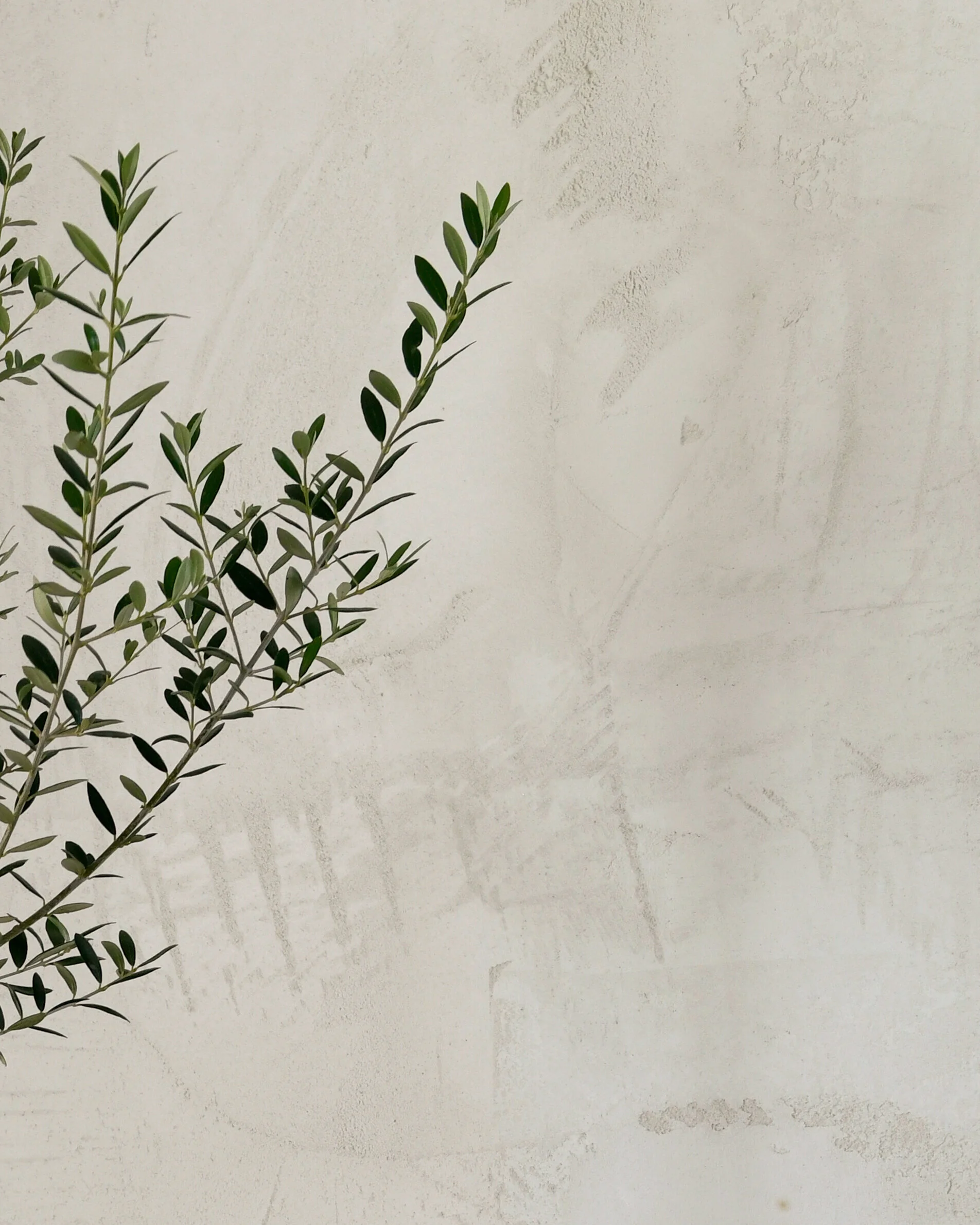 Leanne Ford Interiors