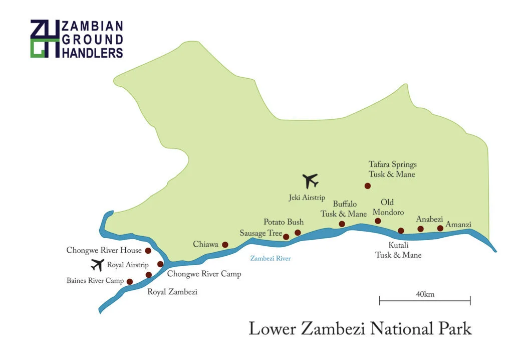 A Return to Zambia’s South Luangwa & Lower Zambezi — Next Adventure