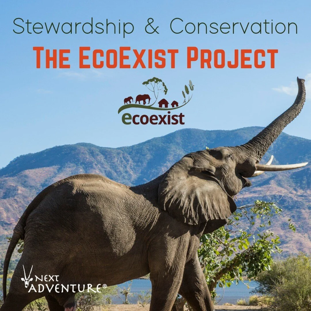 Thank You — Next Adventure