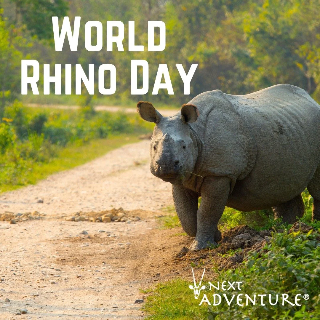 Contact Next Adventure | Custom African Safaris