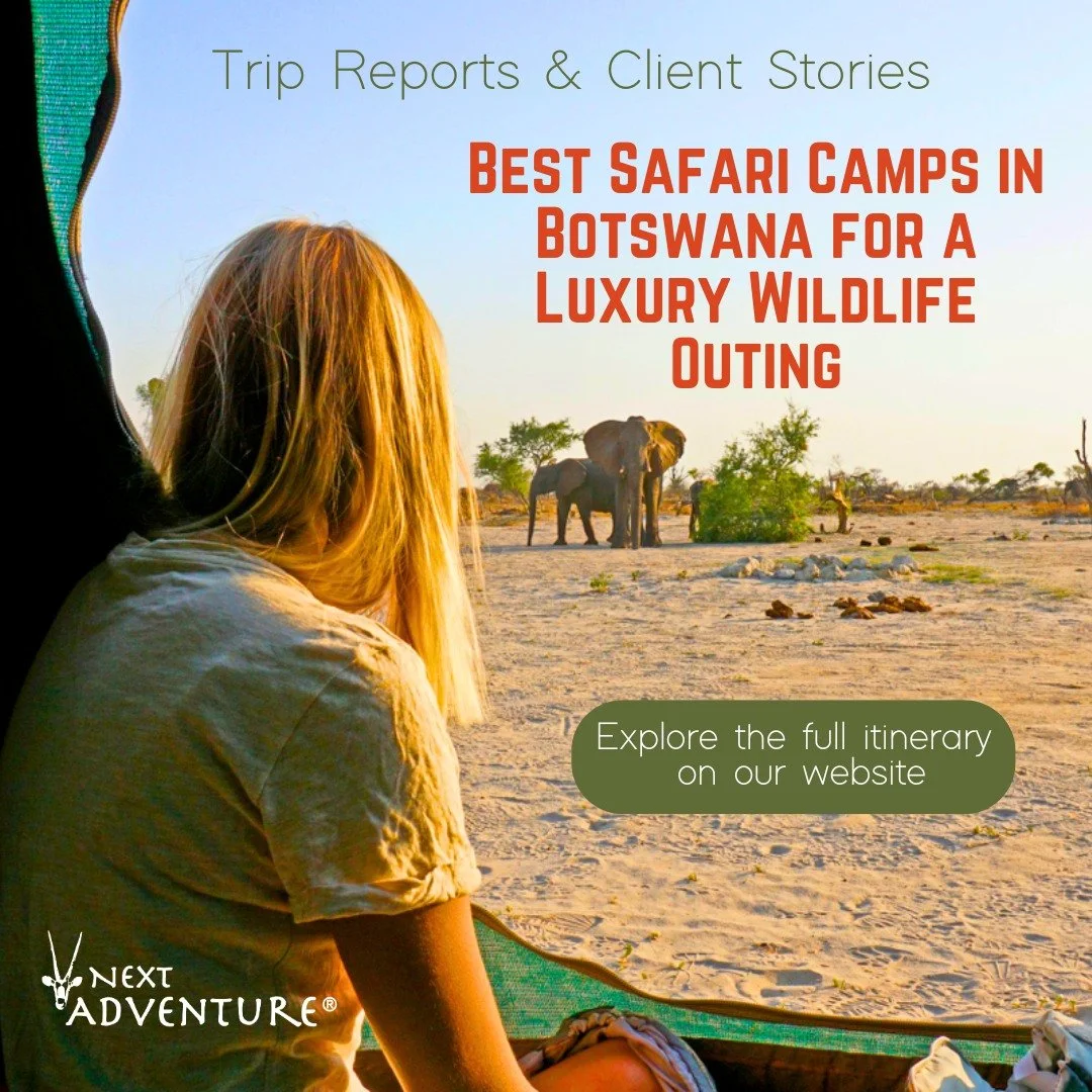 What You Need to Know About Planning a Safari in Botswana