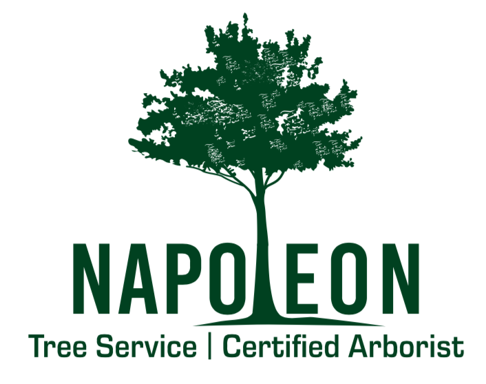 Napoleon Tree Service