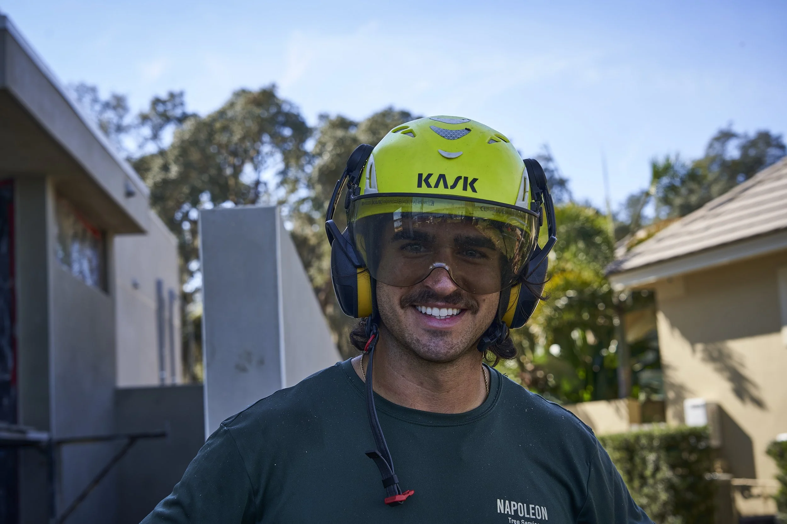 Napoleon Tree Service