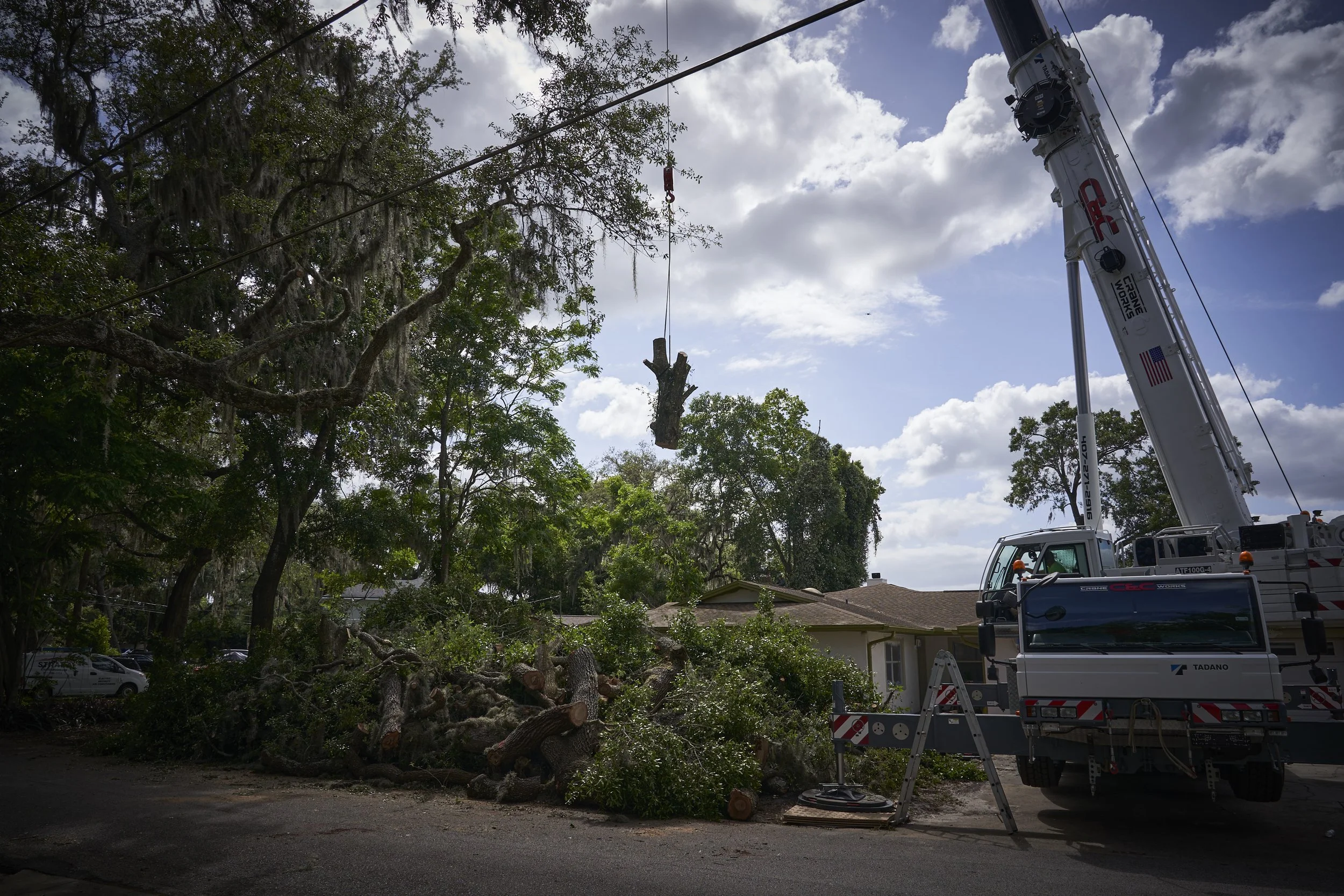 Napoleon Tree Service