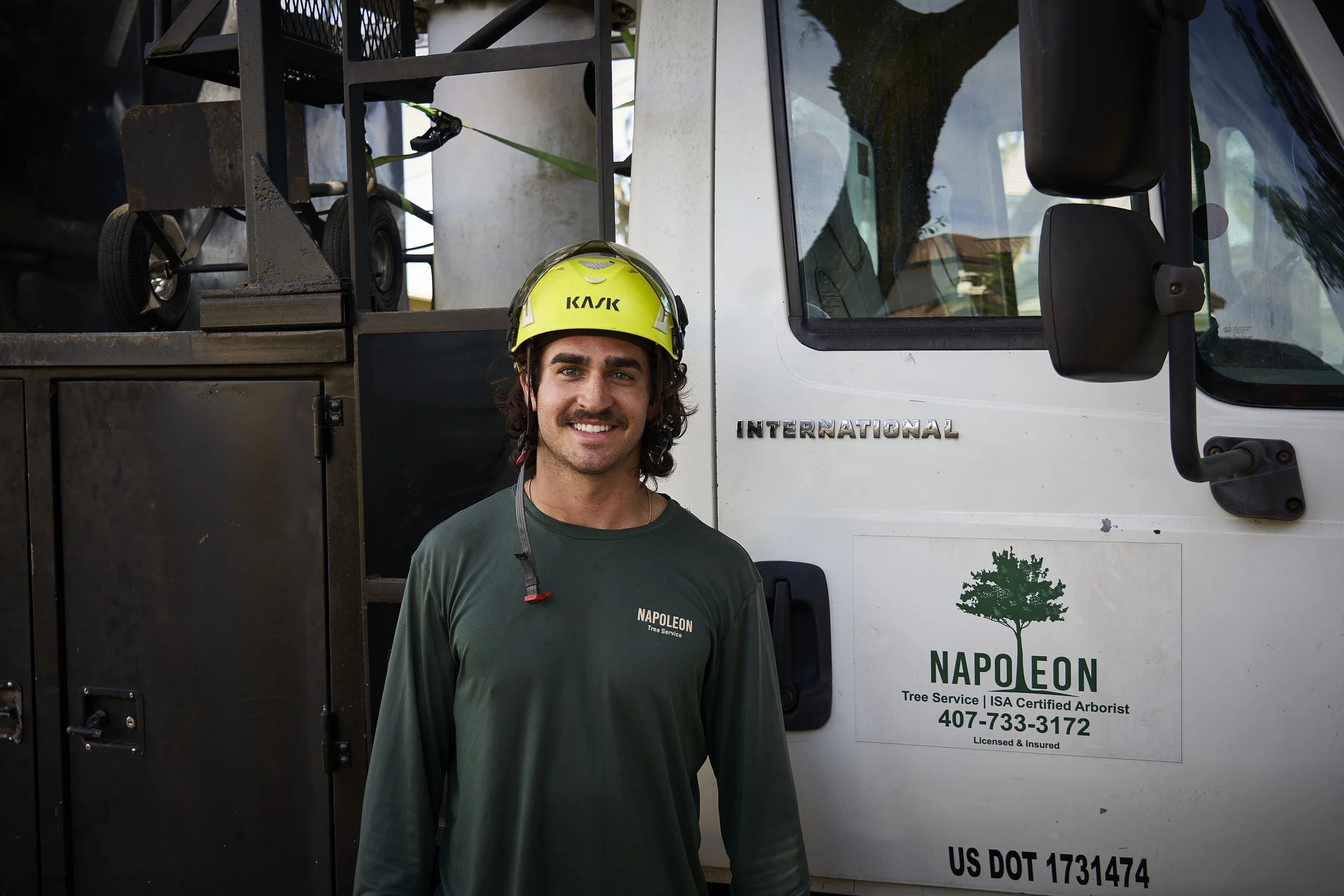 Napoleon Tree Service