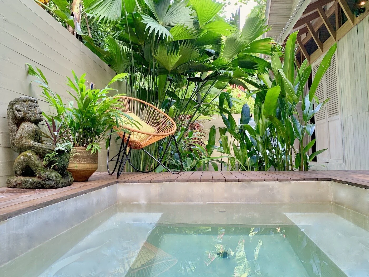 Snapshots and Pictures from the Rainforest - Golfo Dulce Retreat ...