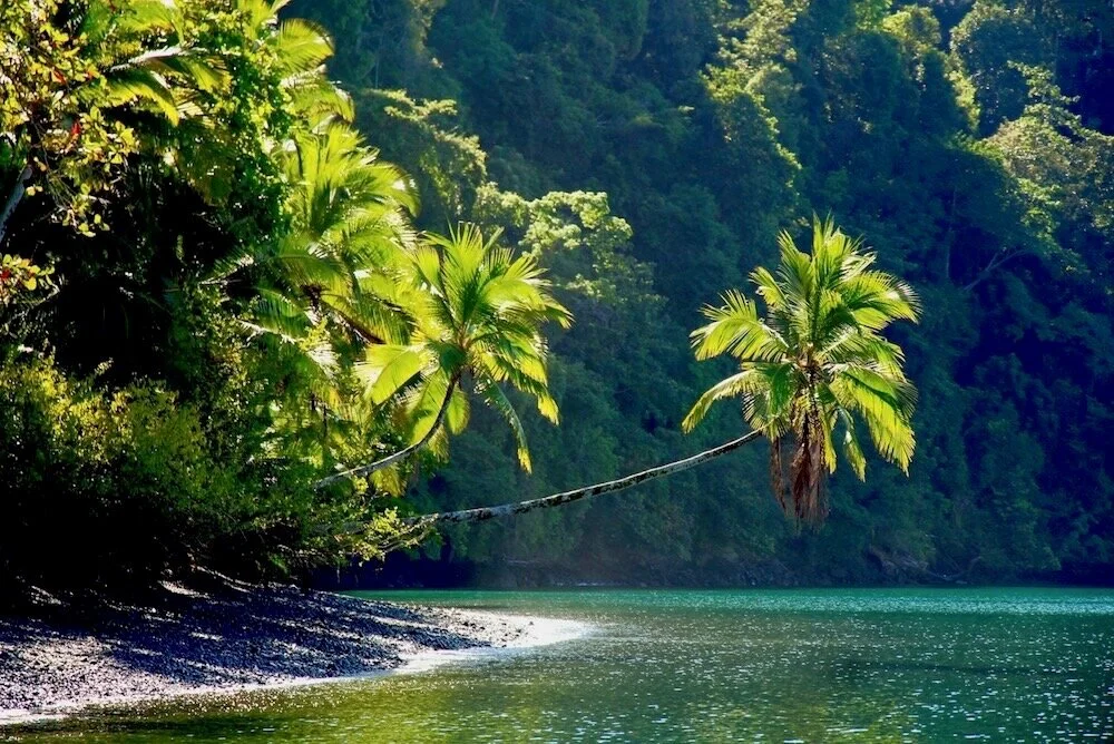 Golfo Dulce, Costa Rica: Osa Peninsula, Corcovado and Piedras Blancas ...