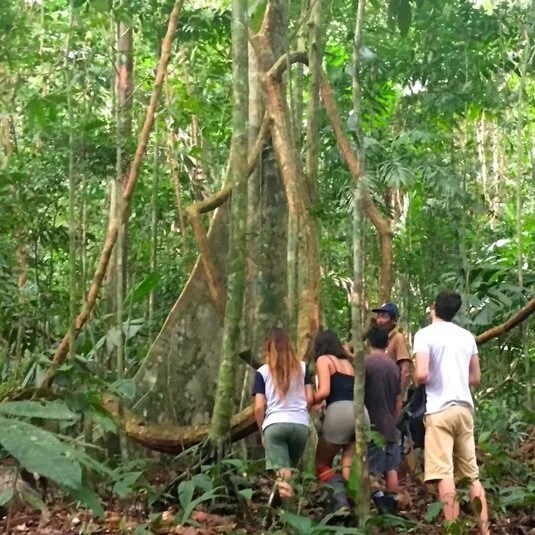 Golfo Dulce Rainforest and Ocean Excursions & Tours - Golfo Dulce ...