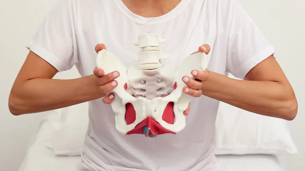 NOLA Pelvic Health