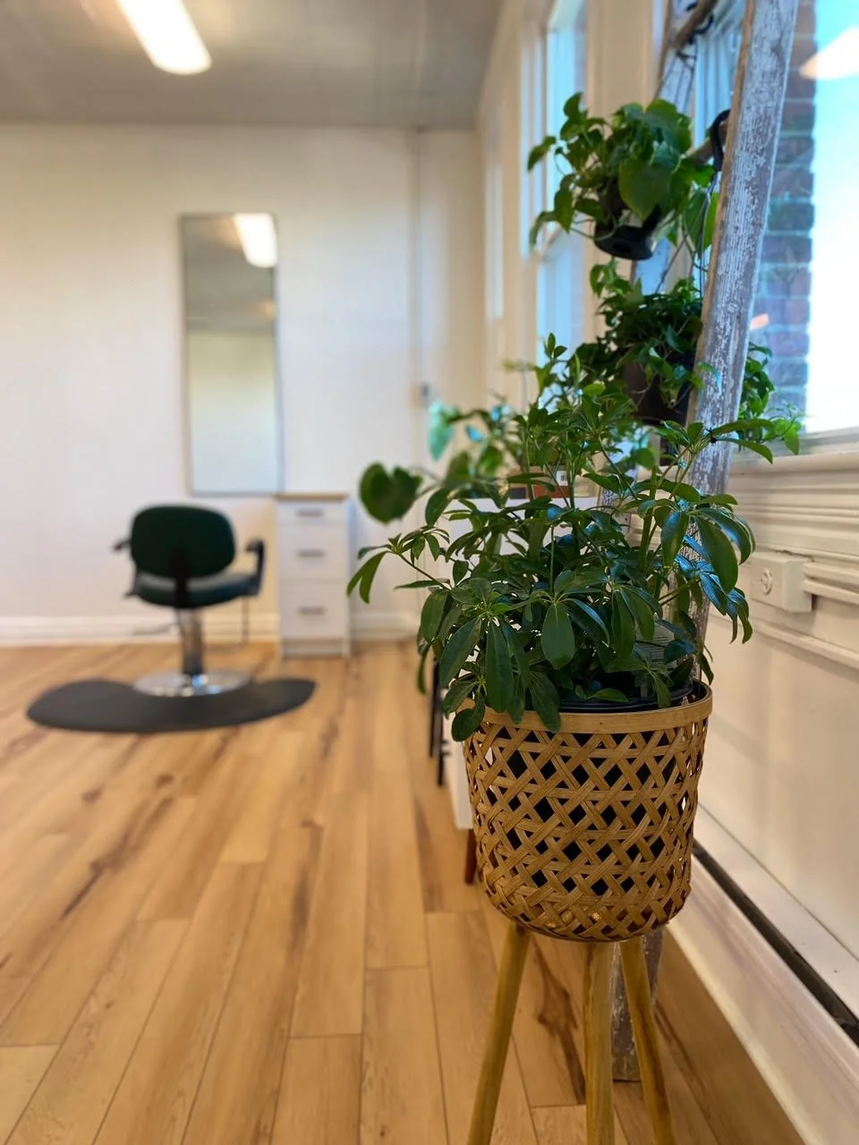 Reform Salon