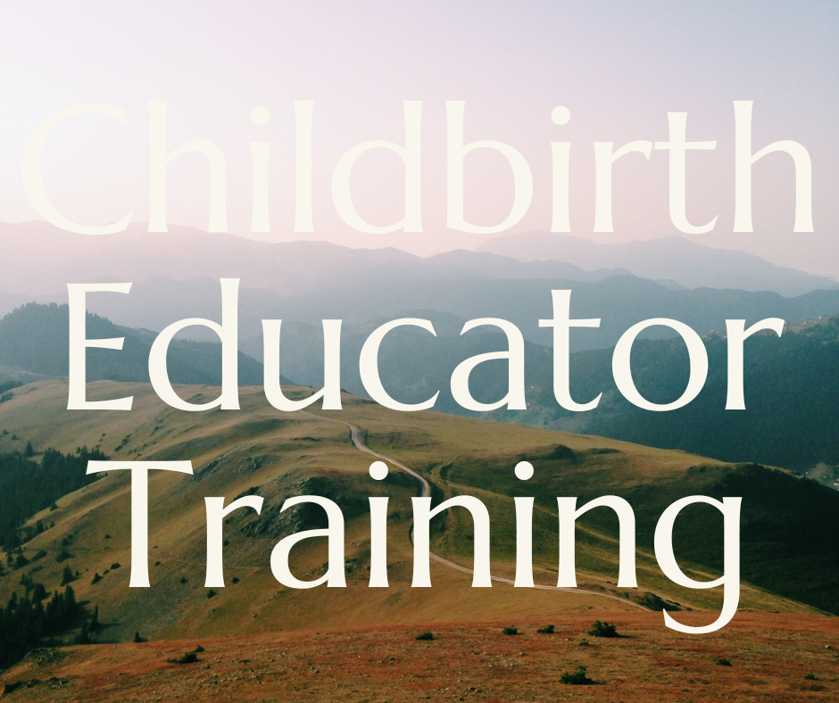 Doula & Childbirth Educator Trainings — Birthing from Within