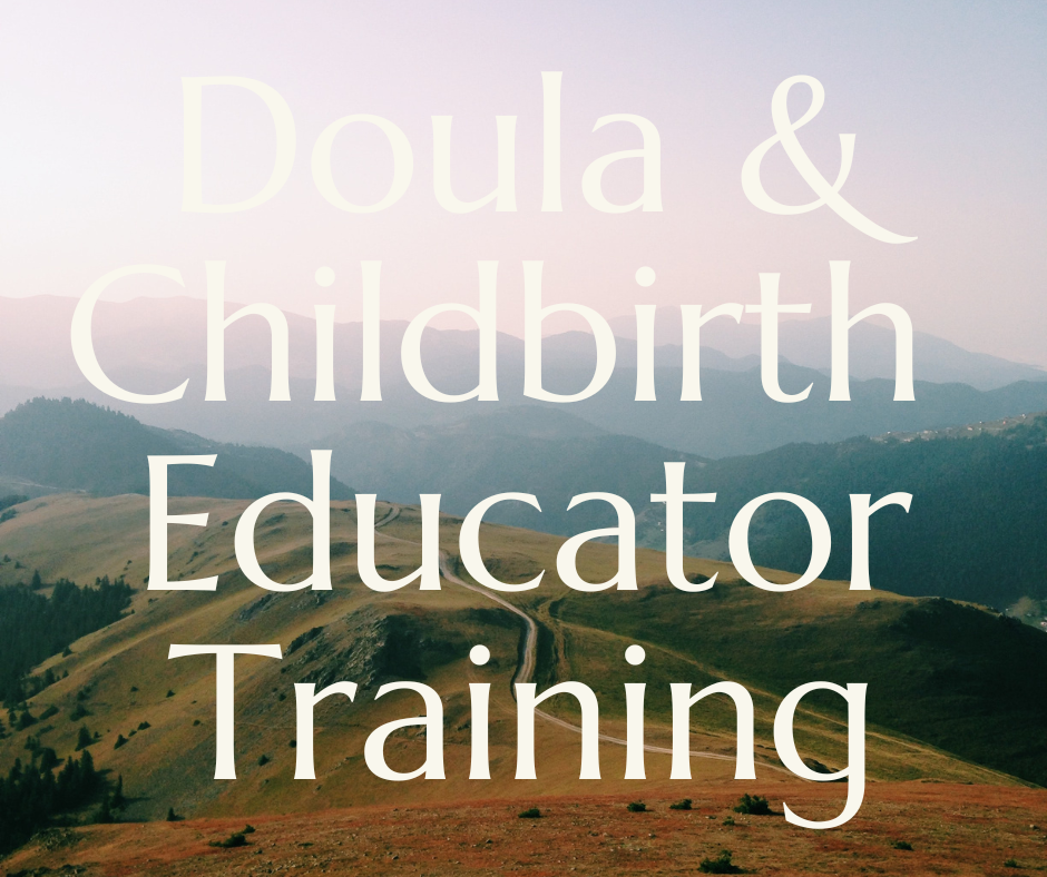 Doula & Childbirth Educator Trainings — Birthing from Within