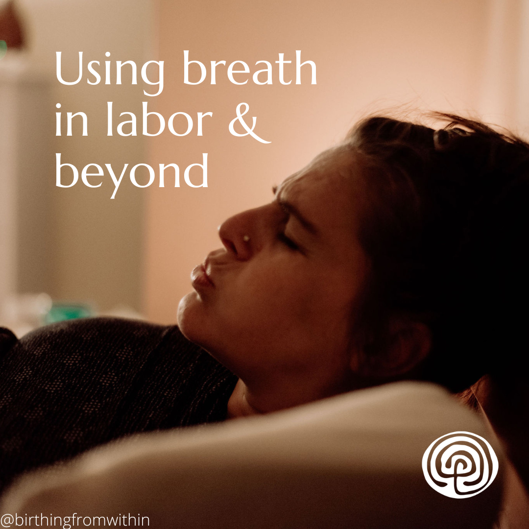 Member Downloads — Birthing from Within