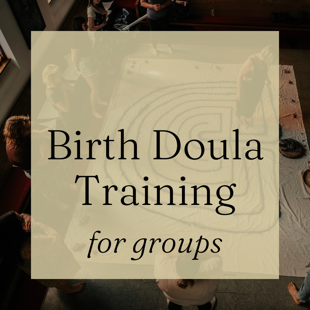 Birth Doula & Childbirth Educator Training and Certification — Birthing from Within