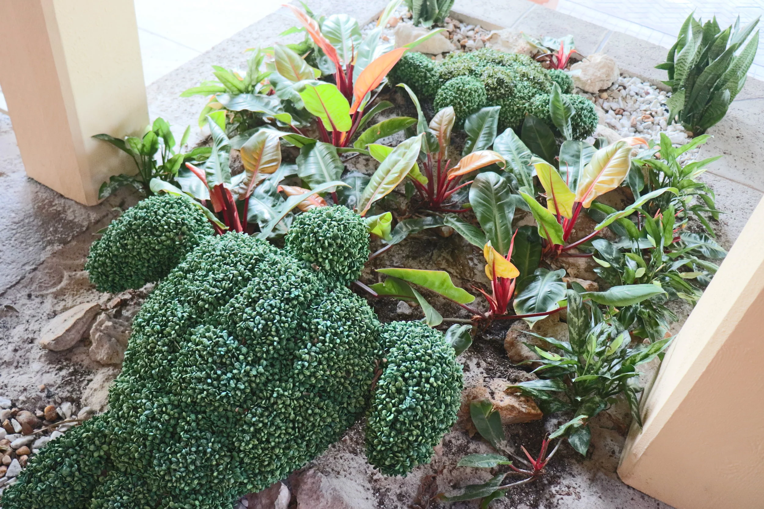 Disney's Vero Beach Resort Review | DVC & Relaxing Getaway | The ...