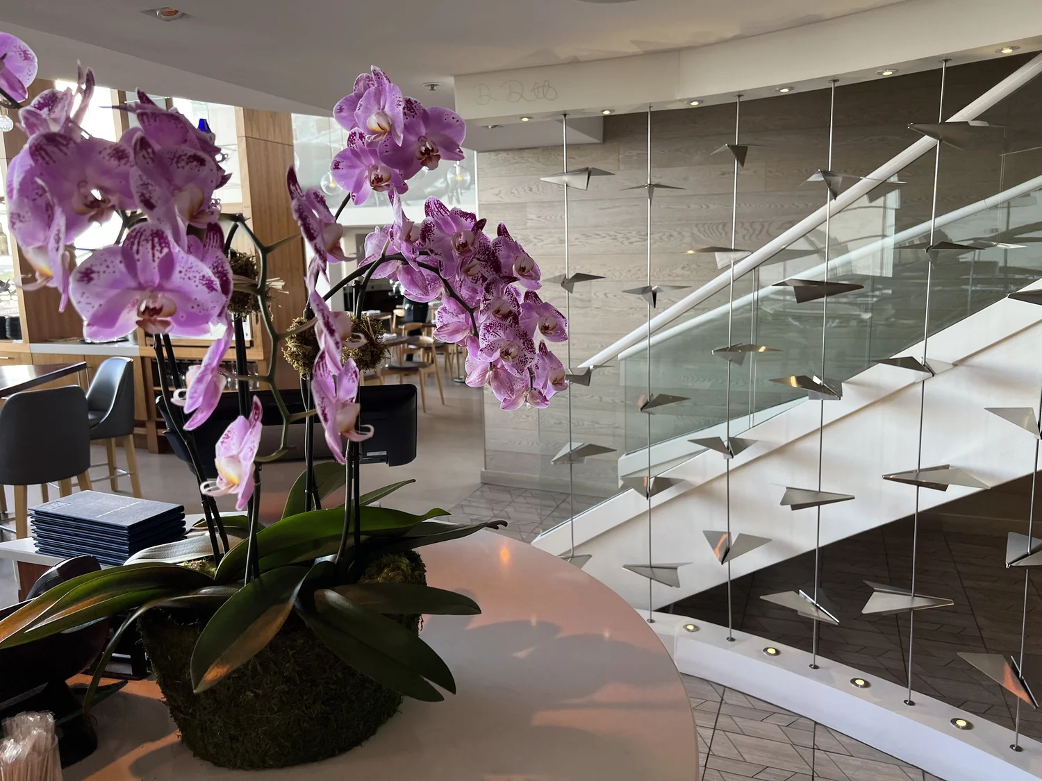 Hemisphere Restaurant MCO Review | The Orlando DINKs Blog