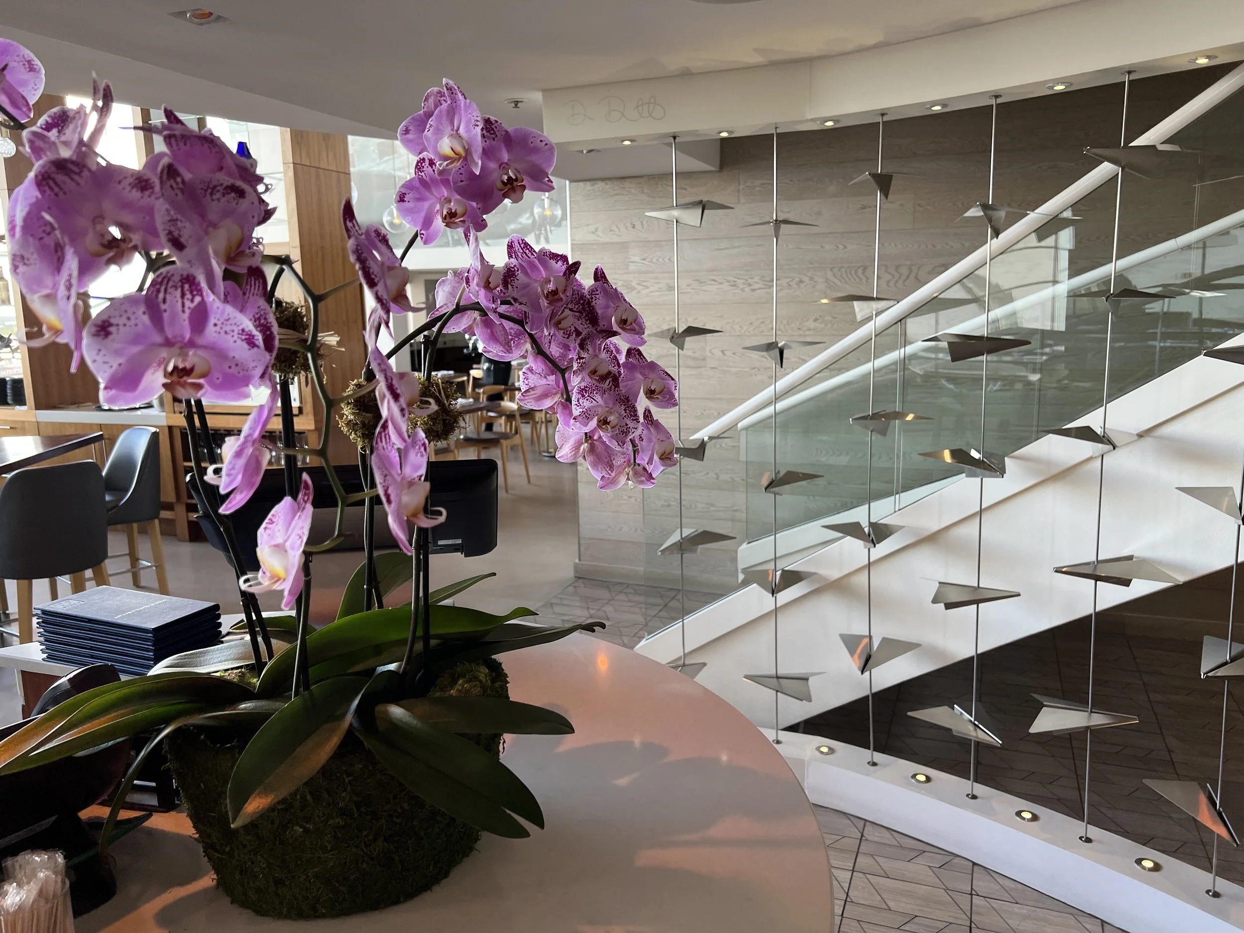 Hemisphere Restaurant MCO Review | The Orlando DINKs Blog
