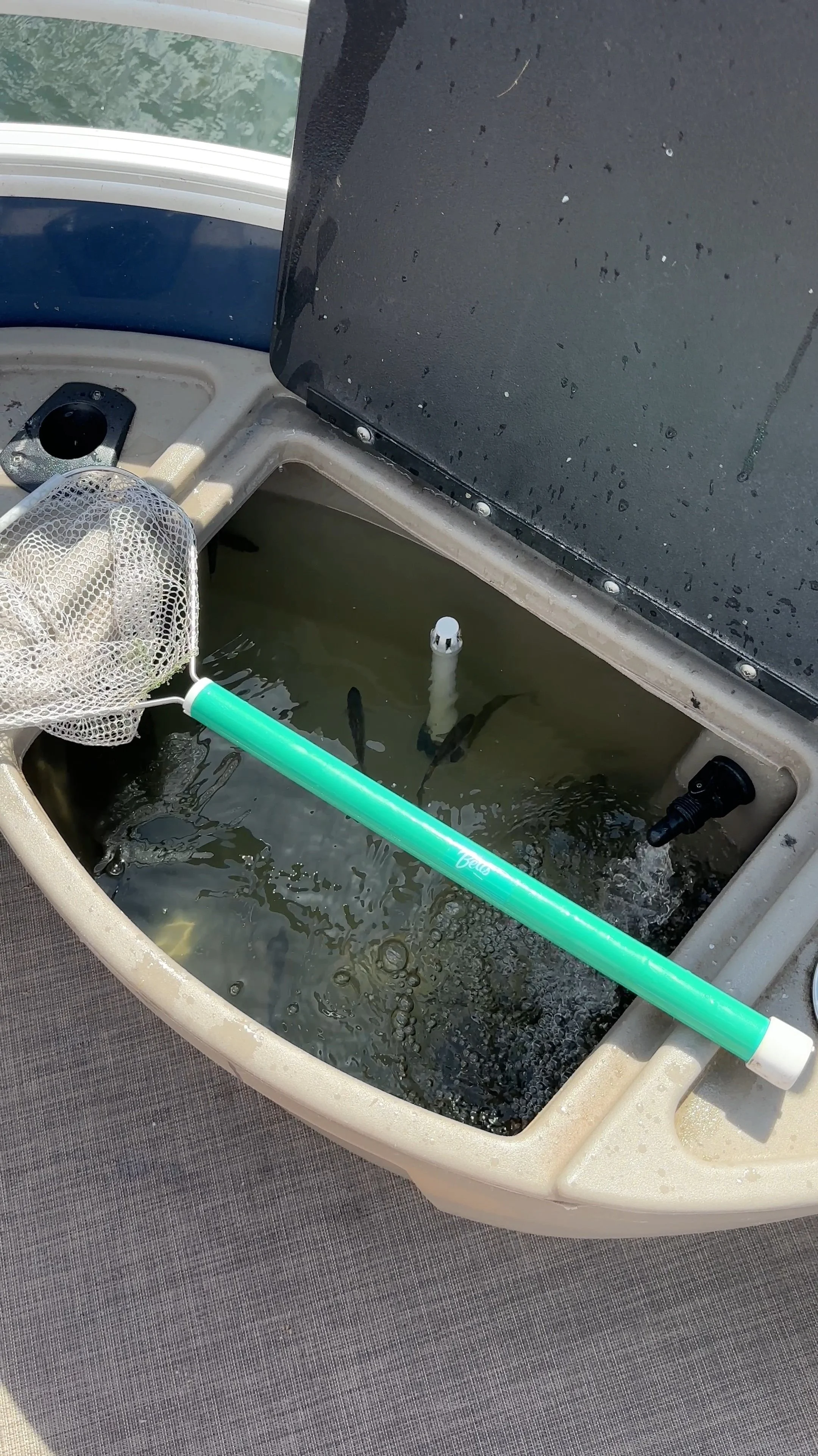 Walt Disney World Resort Private Bass Fishing Excursion | The Orlando ...