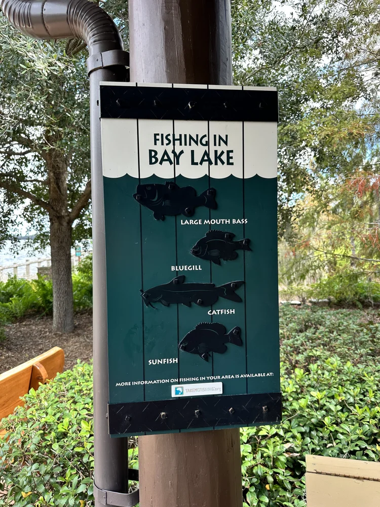 Walt Disney World Resort Private Bass Fishing Excursion | The Orlando ...
