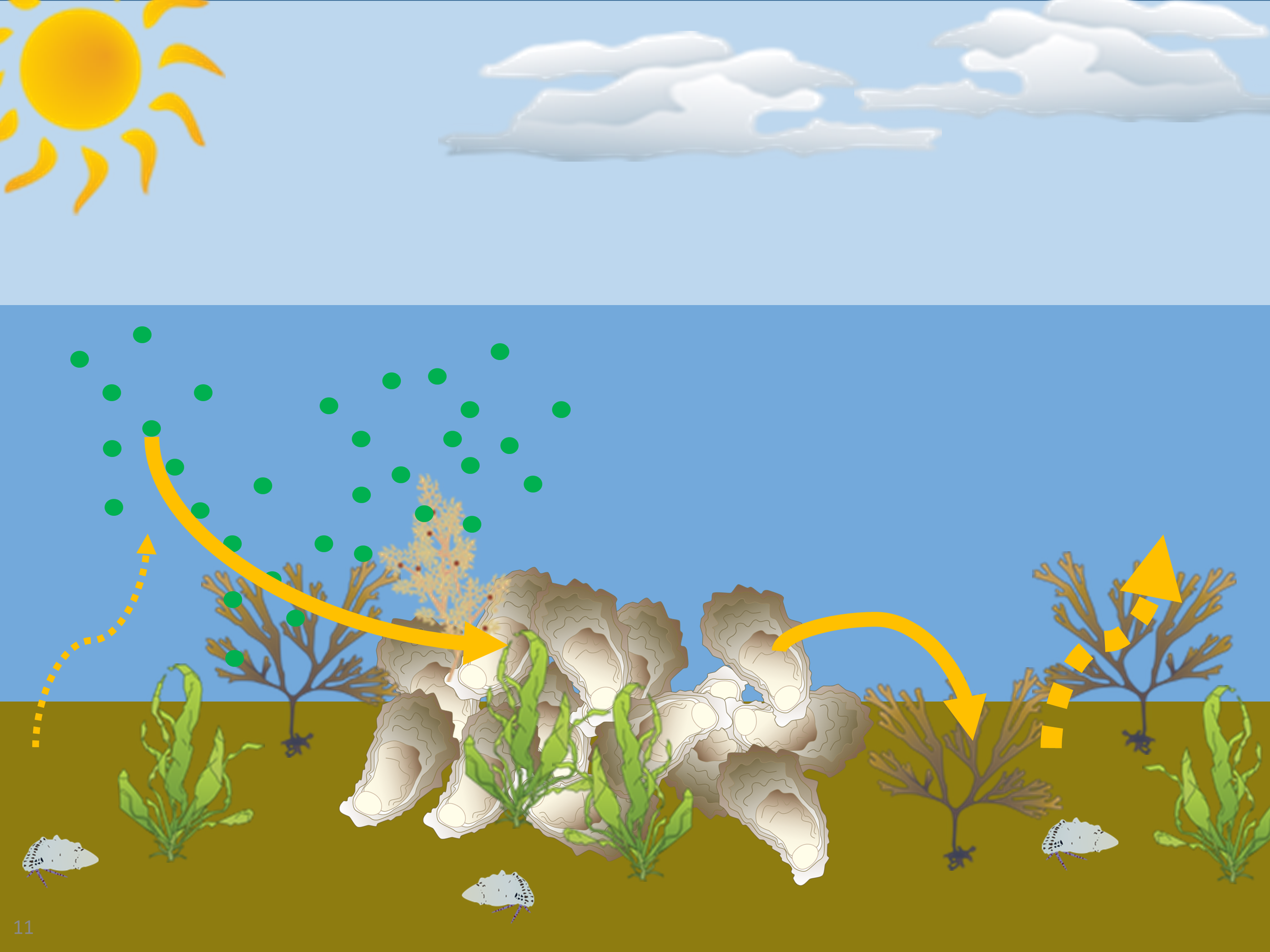 Research — Nicholas E. Ray