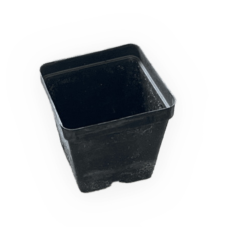 Shop retail — shoreview natives