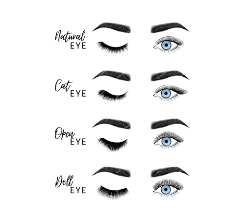 Brow Shapes Style Chart — drypdesigns