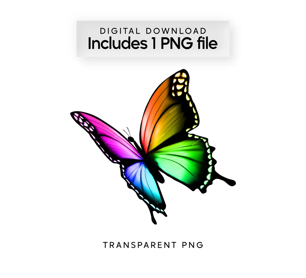 Rainbow Watercolor Butterfly PNG — drypdesigns