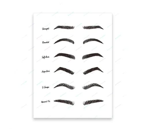 Eyebrow Color Chart Digital Art Print — drypdesigns