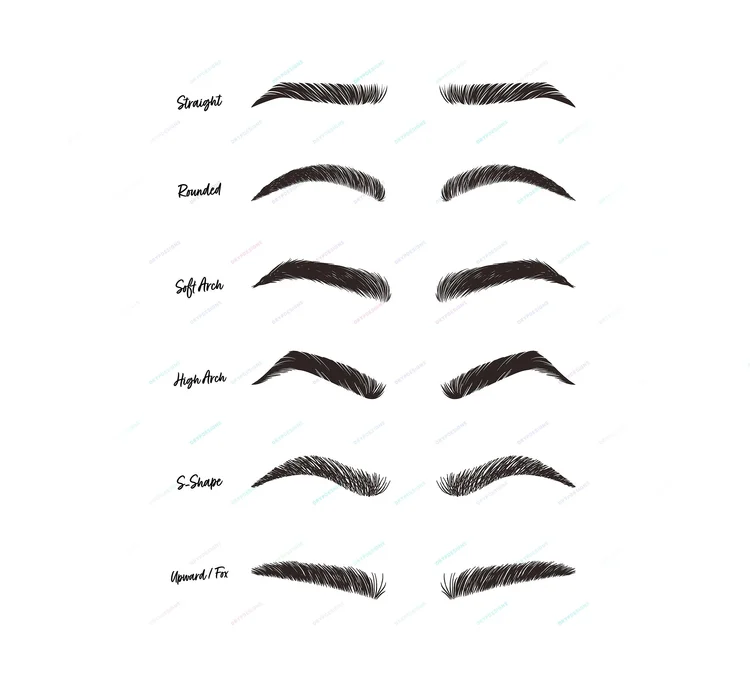 Eyebrow Color Chart Digital Art Print — drypdesigns