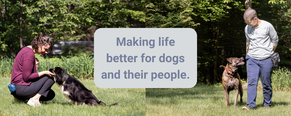 The Dog Behavior Institute