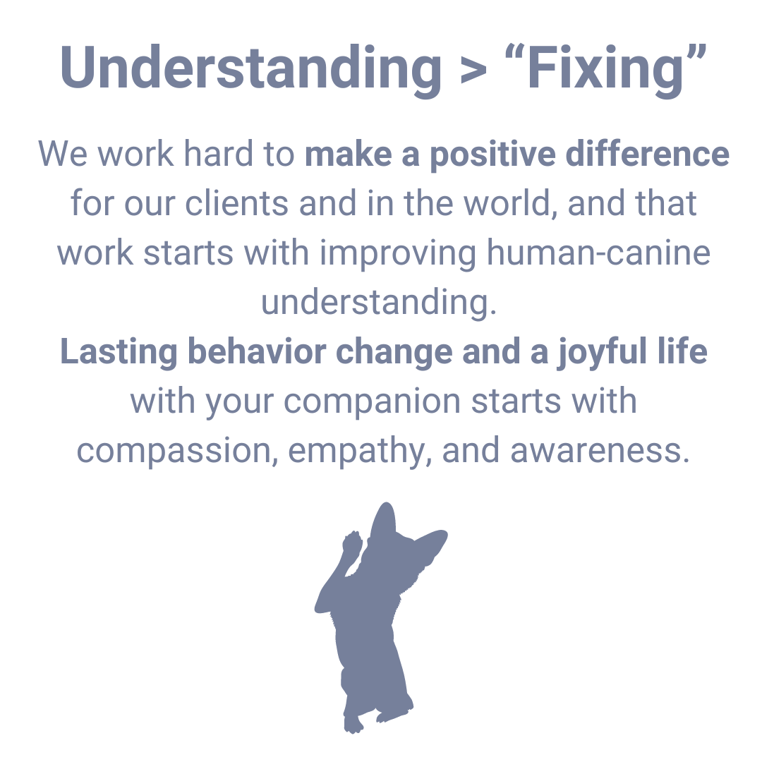 The Dog Behavior Institute