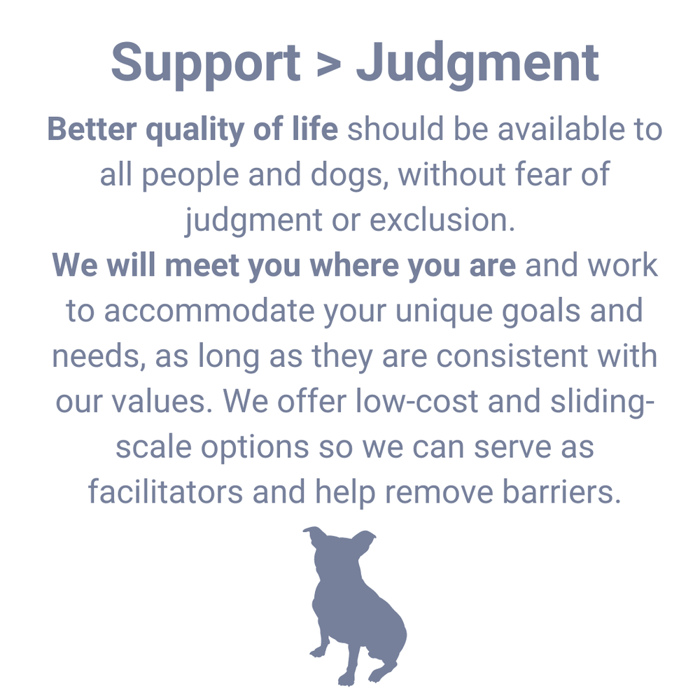 The Dog Behavior Institute