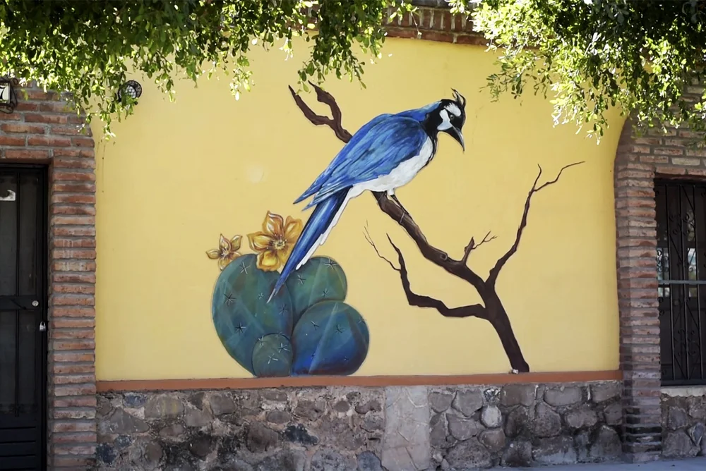 A Peek into the Murals of Cócorit, Sonora — Borderlandia